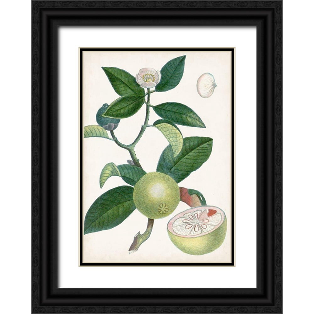 Turpin 11x14 Black Ornate Wood Framed with Double Matting Museum Art ...