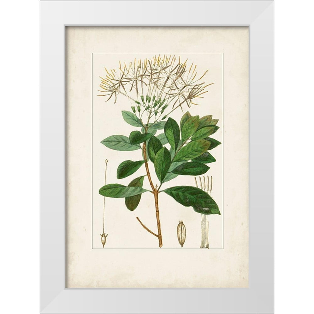Turpin 11x14 White Modern Wood Framed Museum Art Print Titled - Antique ...