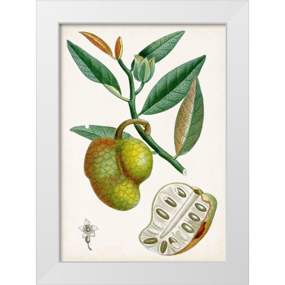 Turpin 11x14 White Modern Wood Framed Museum Art Print Titled - Turpin ...