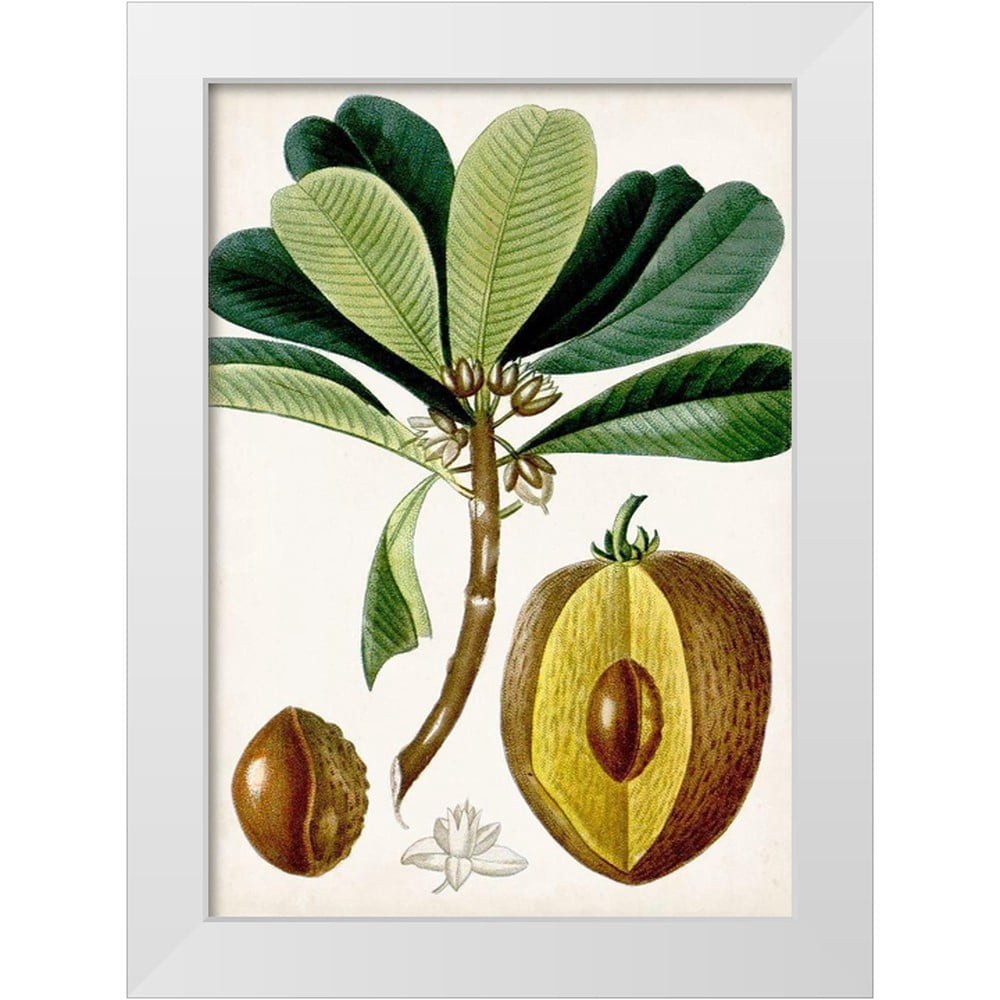Turpin 11x14 White Modern Wood Framed Museum Art Print Titled - Turpin ...