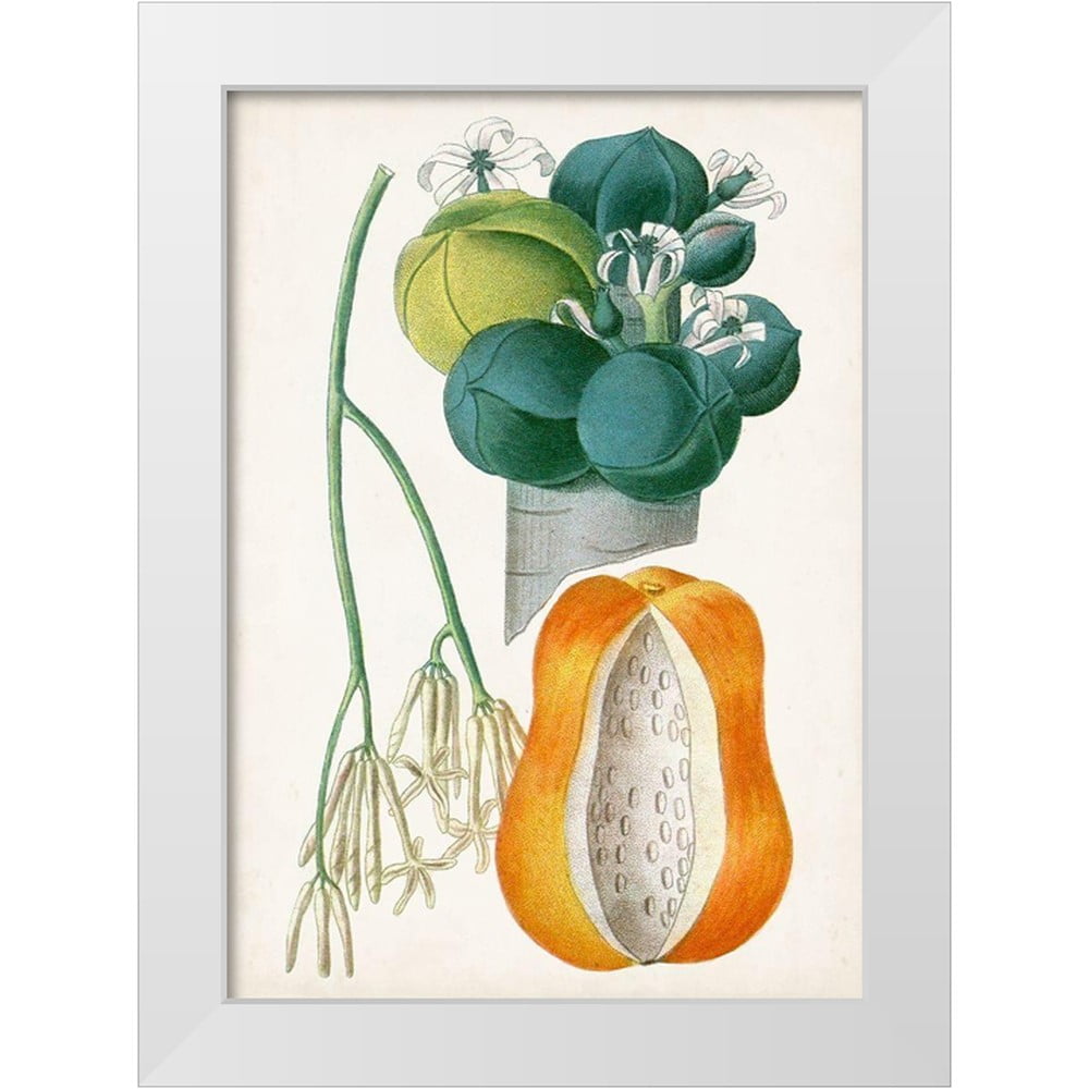 Turpin 11x14 White Modern Wood Framed Museum Art Print Titled - Turpin ...