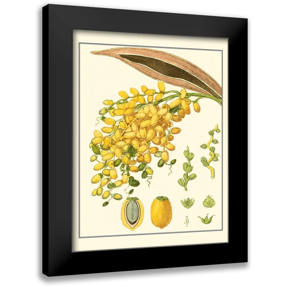 Turpin 12x14 Black Modern Framed Museum Art Print Titled - Turpin ...