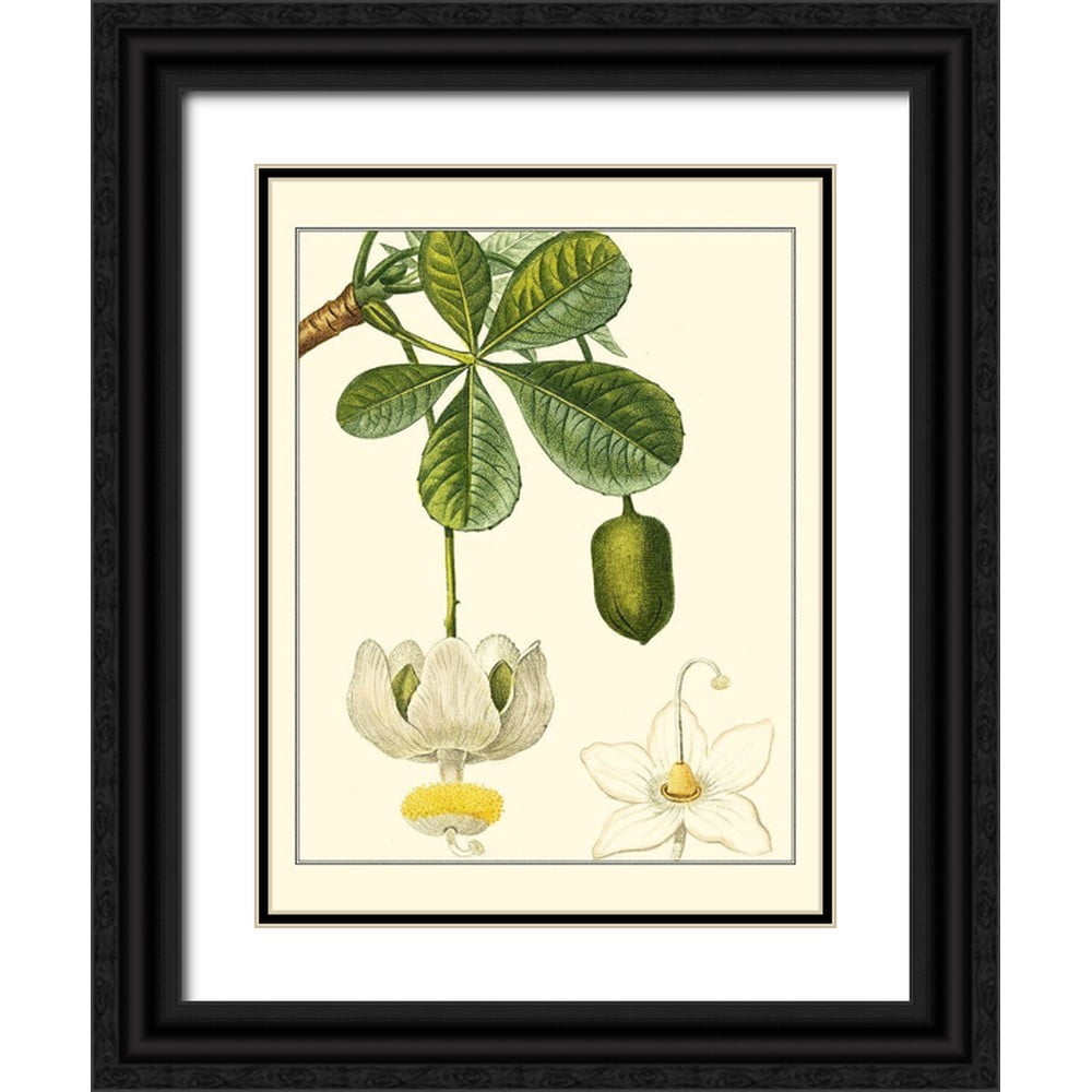 Turpin 12x14 Black Ornate Wood Framed with Double Matting Museum Art ...
