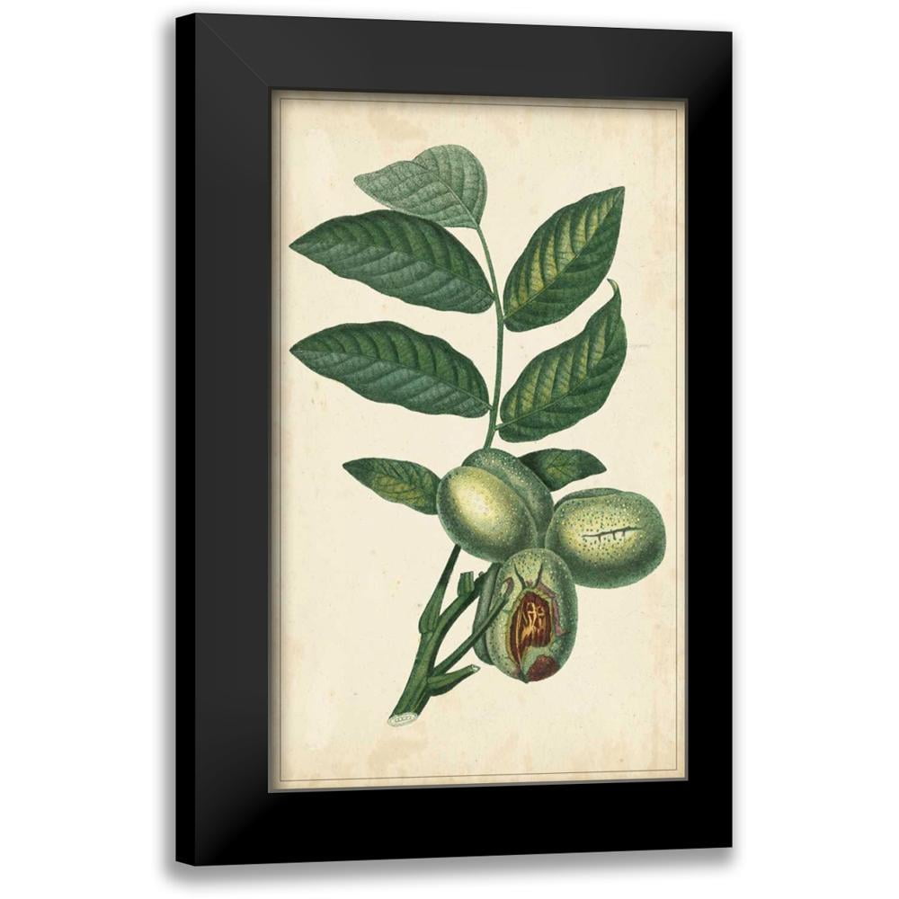 Turpin 12x18 Black Modern Framed Museum Art Print Titled - Exotic ...