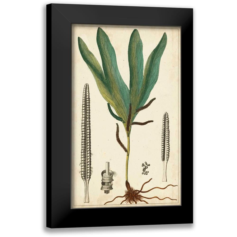 Turpin 12x18 Black Modern Framed Museum Art Print Titled - Foliage ...