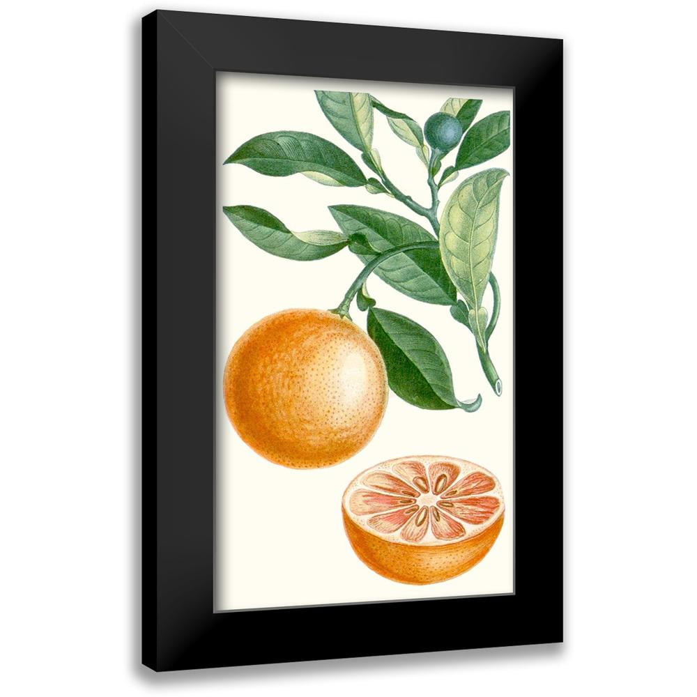 Turpin 12x18 Black Modern Framed Museum Art Print Titled - Turpin Fruit ...