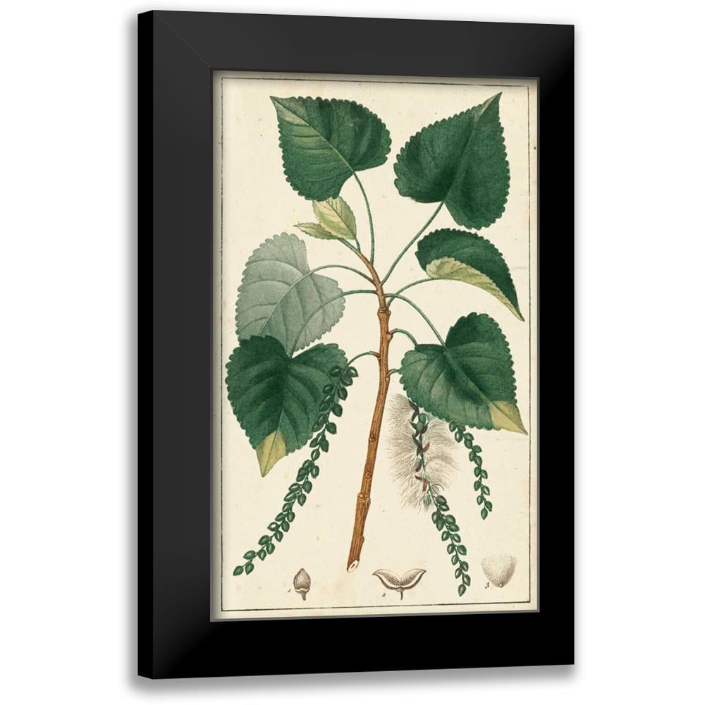 Turpin 12x18 Black Modern Framed Museum Art Print Titled - Turpin ...