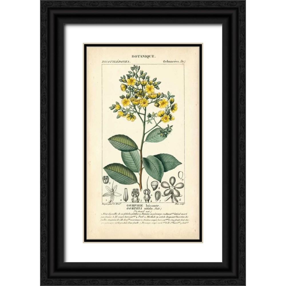 Turpin 12x18 Black Ornate Wood Framed with Double Matting Museum Art ...