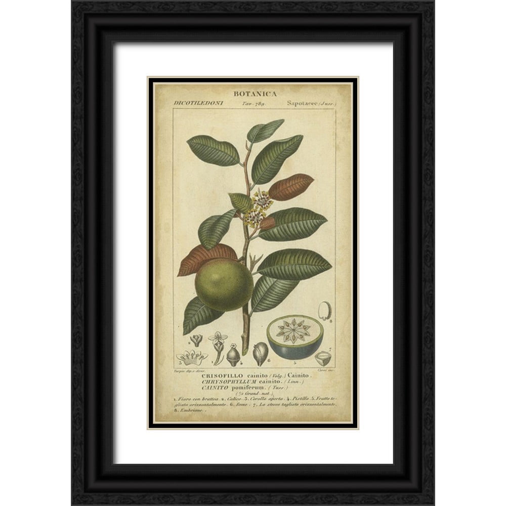 Turpin 12x18 Black Ornate Wood Framed with Double Matting Museum Art ...