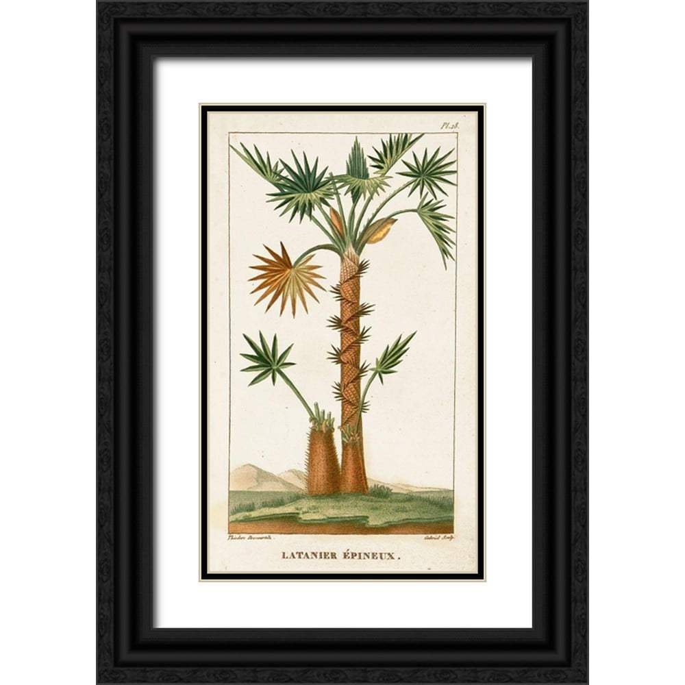 Turpin 12x18 Black Ornate Wood Framed with Double Matting Museum Art ...