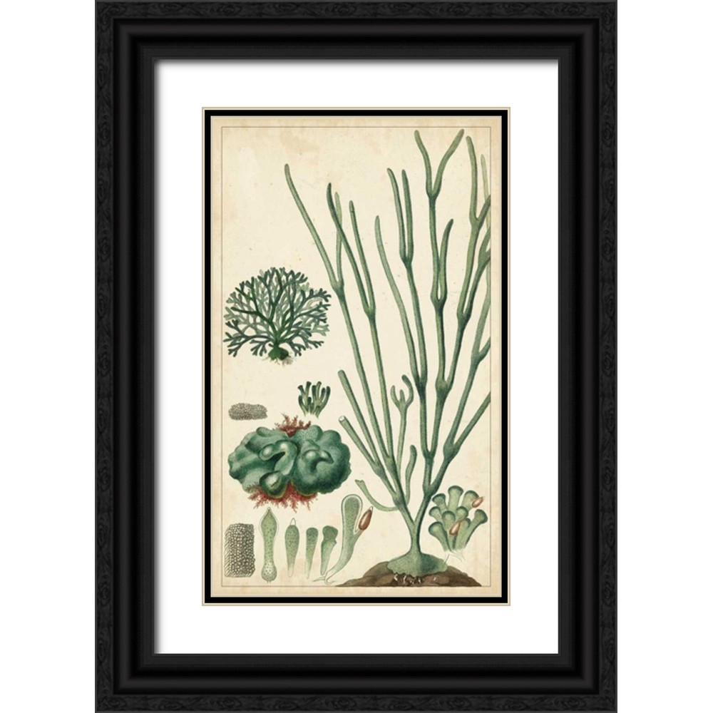Turpin 12x18 Black Ornate Wood Framed with Double Matting Museum Art ...