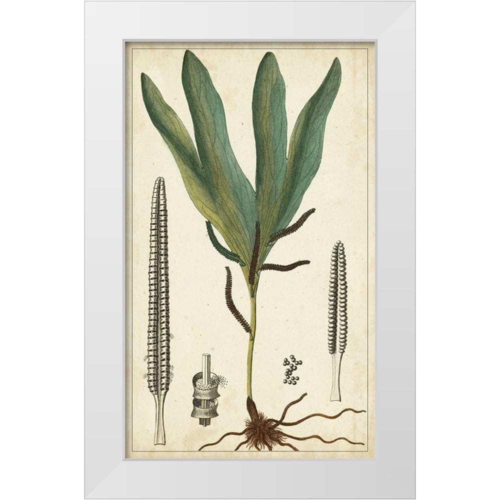 Turpin 12x18 White Modern Wood Framed Museum Art Print Titled - 40x24 ...