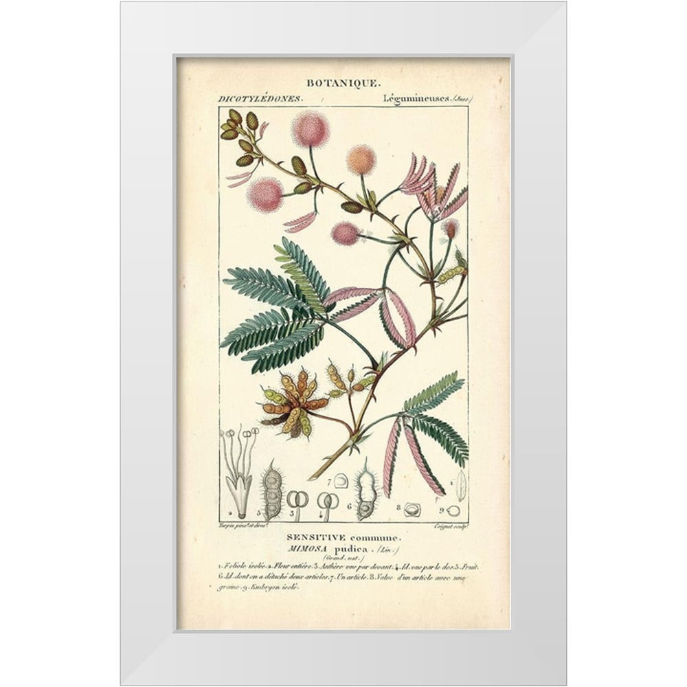 Turpin 12x18 White Modern Wood Framed Museum Art Print Titled ...