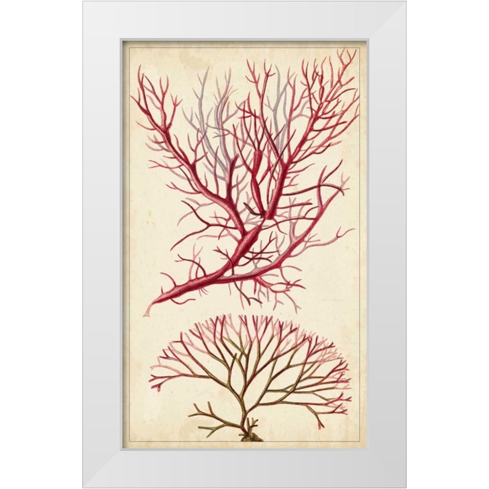 Turpin 12x18 White Modern Wood Framed Museum Art Print Titled - Turpin ...