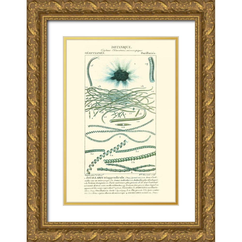 Turpin 13x18 Gold Ornate Wood Framed with Double Matting Museum Art ...