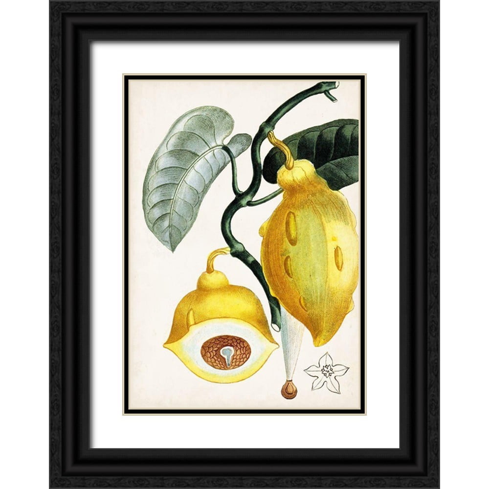 Turpin 14x18 Black Ornate Wood Framed with Double Matting Museum Art ...