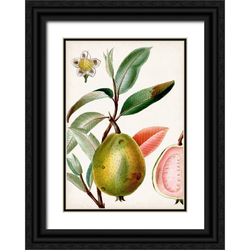 Turpin 14x18 Black Ornate Wood Framed with Double Matting Museum Art ...