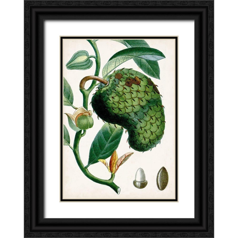 Turpin 14x18 Black Ornate Wood Framed with Double Matting Museum Art ...