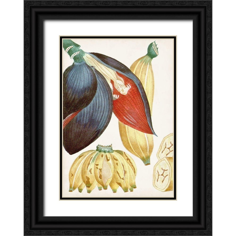 Turpin 14x18 Black Ornate Wood Framed with Double Matting Museum Art ...