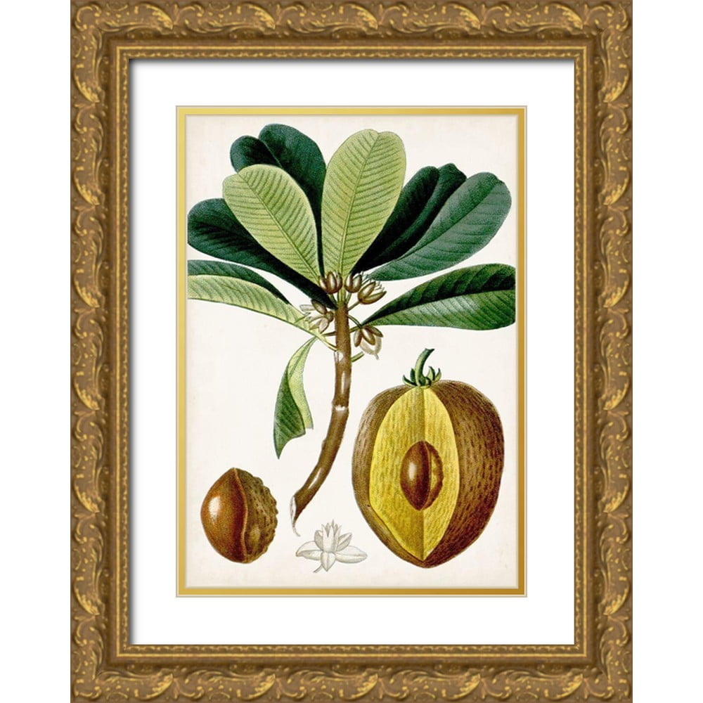 Turpin 14x18 Gold Ornate Wood Framed with Double Matting Museum Art ...