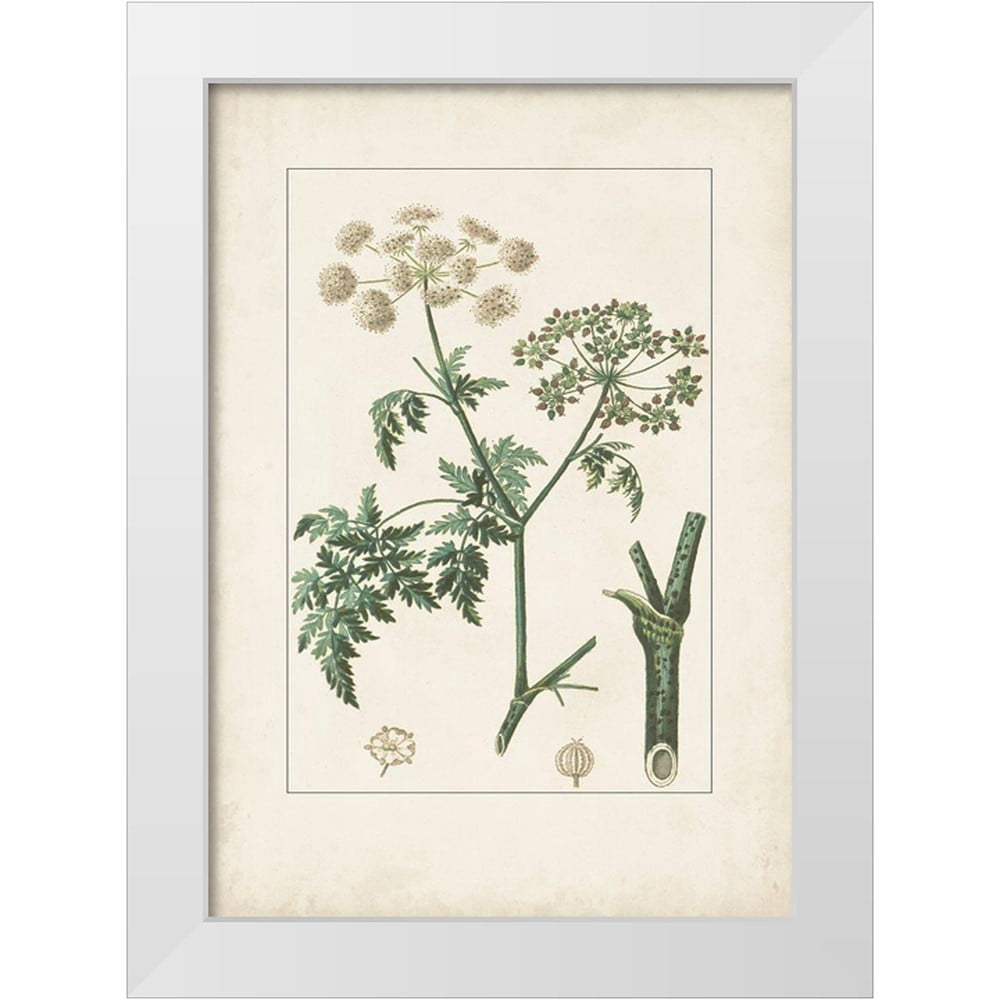 Turpin 14x18 White Modern Wood Framed Museum Art Print Titled - Antique ...