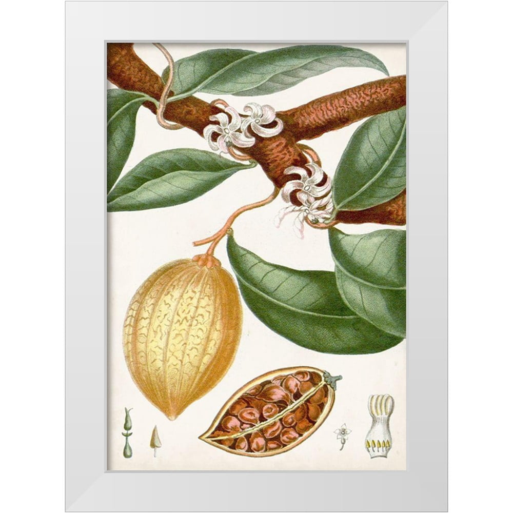 Turpin 14x18 White Modern Wood Framed Museum Art Print Titled - Turpin ...