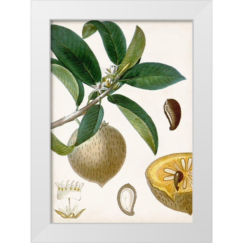 Turpin 14x18 White Modern Wood Framed Museum Art Print Titled - Turpin ...