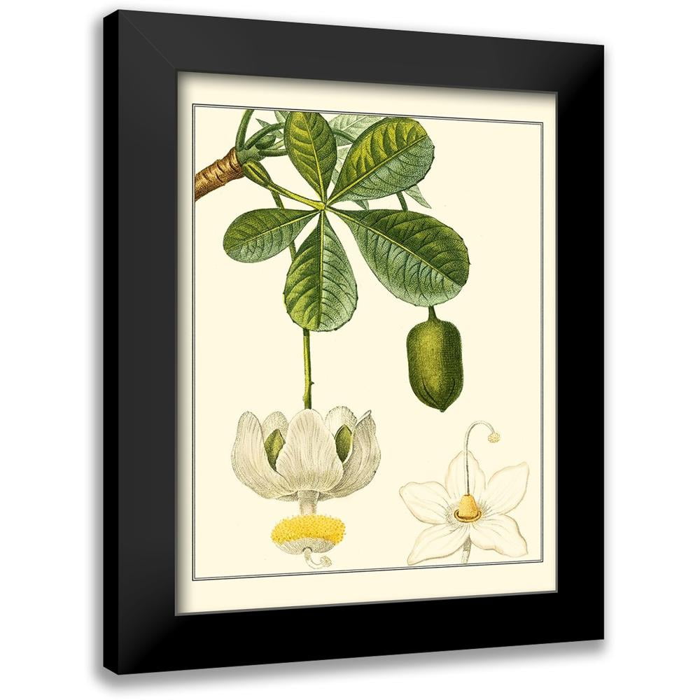 Turpin 15x18 Black Modern Framed Museum Art Print Titled - Turpin ...