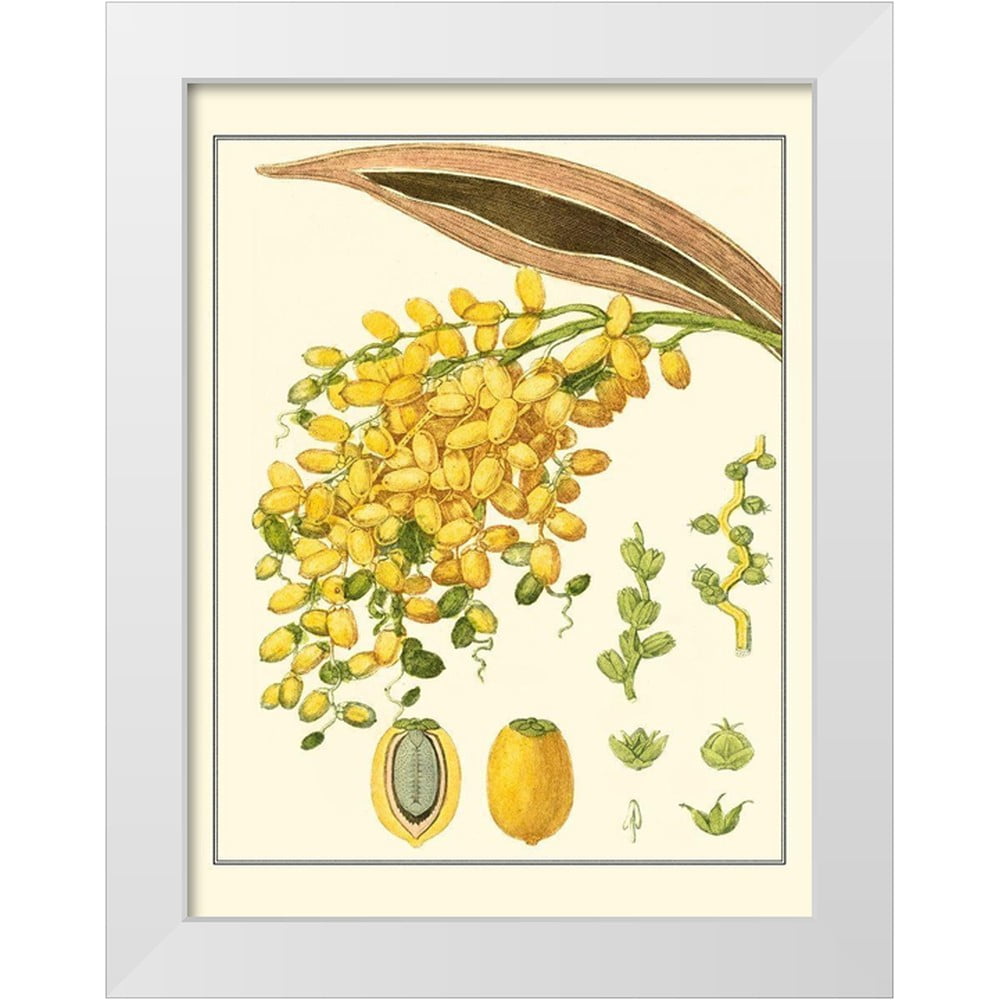 Turpin 15x18 White Modern Wood Framed Museum Art Print Titled - Turpin ...