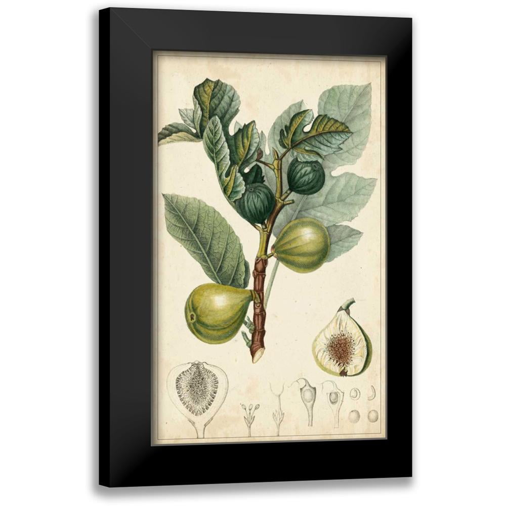 Turpin 16x24 Black Modern Framed Museum Art Print Titled - Exotic ...