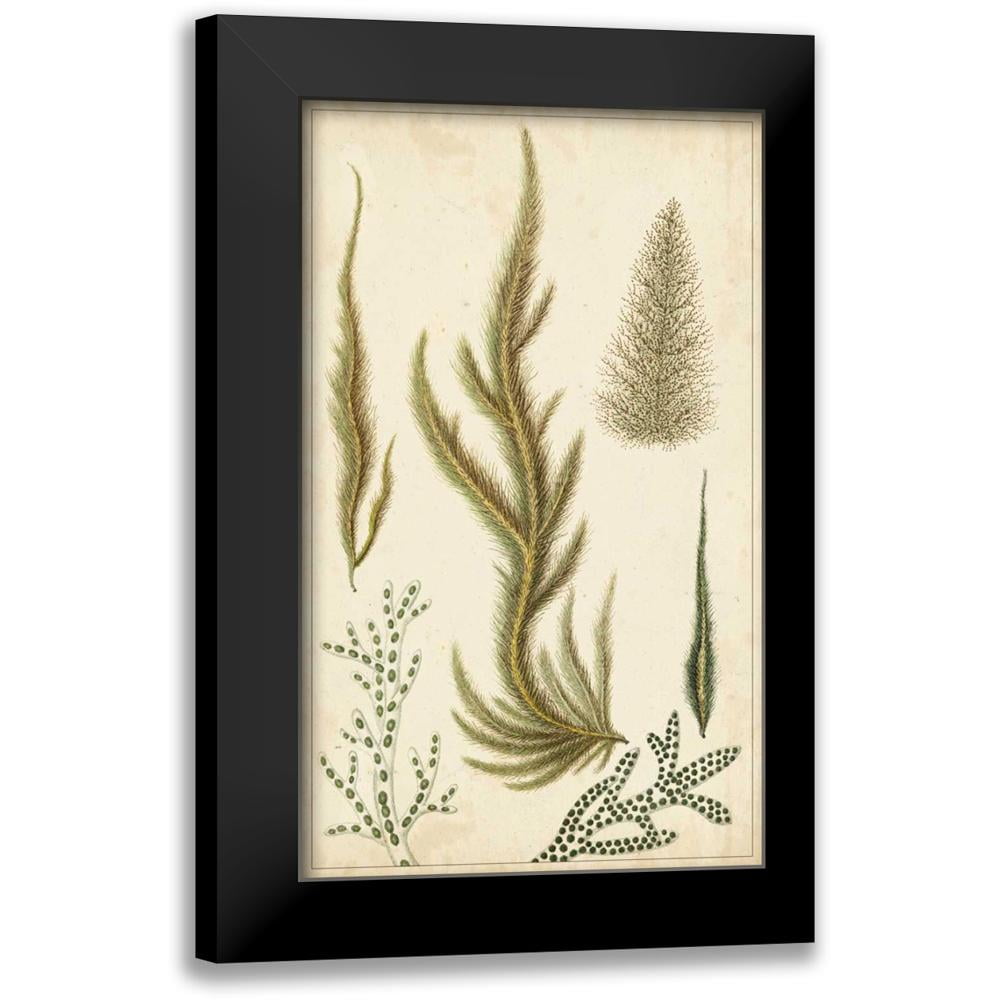 Turpin 16x24 Black Modern Framed Museum Art Print Titled - Turpin ...