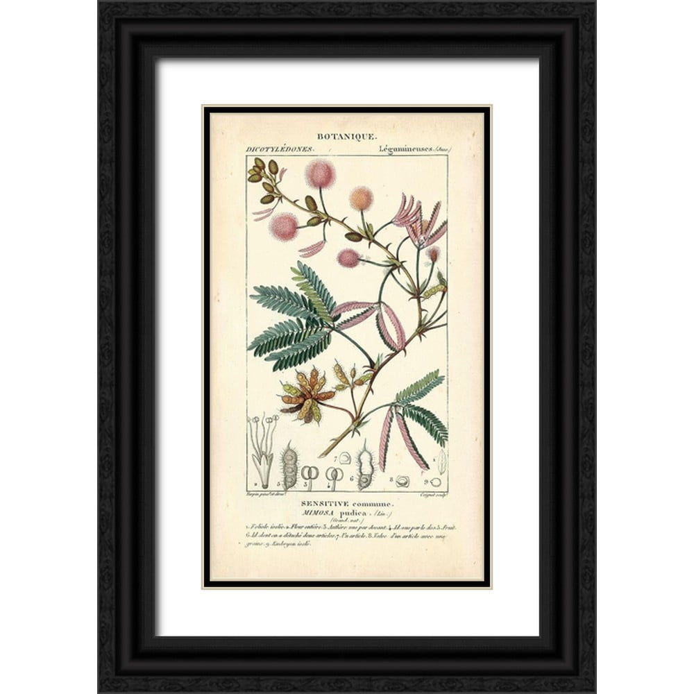 Turpin 16x24 Black Ornate Wood Framed with Double Matting Museum Art ...