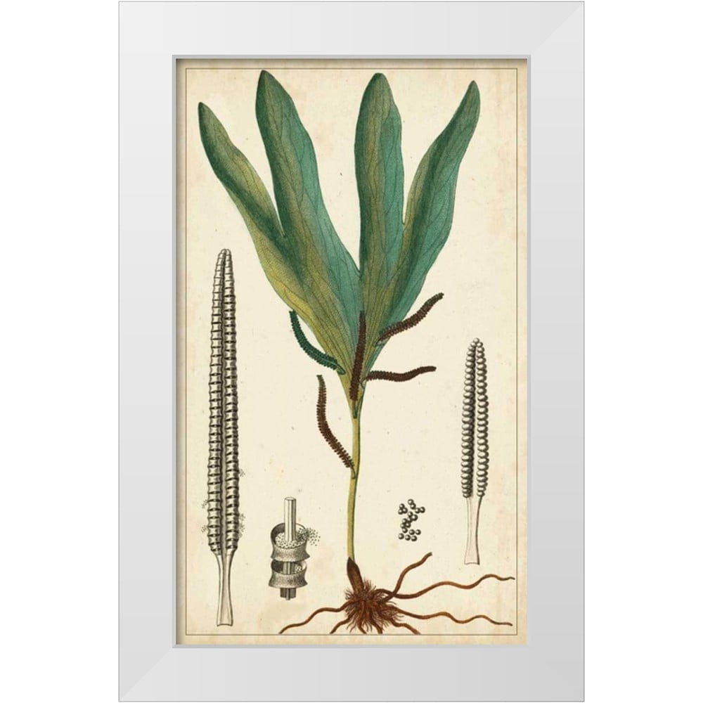 Turpin 16x24 White Modern Wood Framed Museum Art Print Titled - Foliage ...