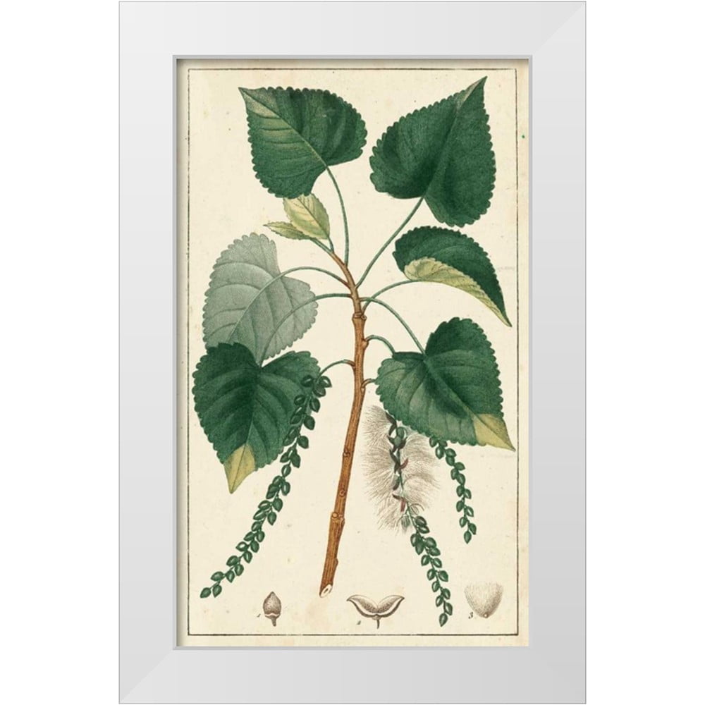 Turpin 16x24 White Modern Wood Framed Museum Art Print Titled - Turpin ...