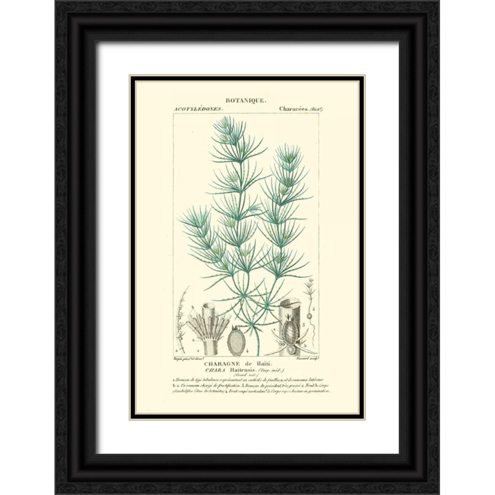 Turpin 17x24 Black Ornate Wood Framed with Double Matting Museum Art ...
