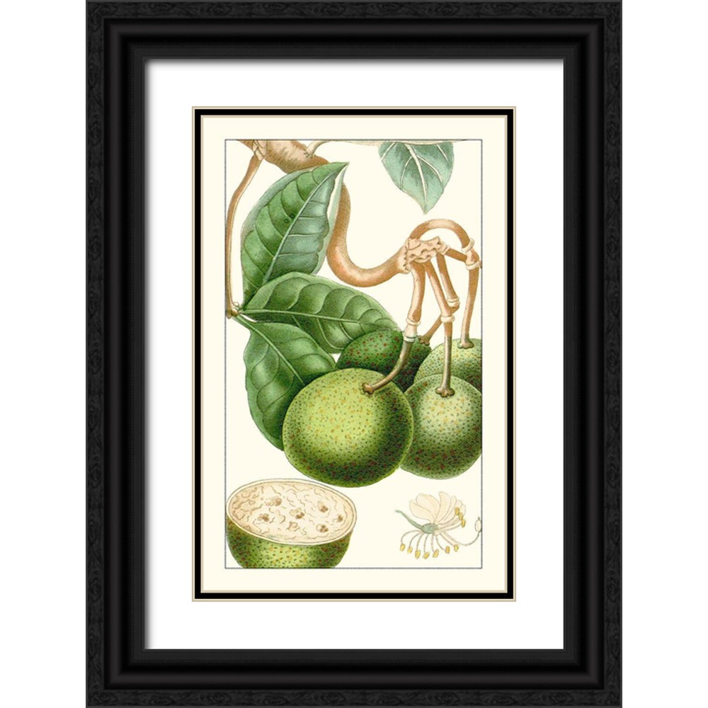 Turpin 17x24 Black Ornate Wood Framed with Double Matting Museum Art ...
