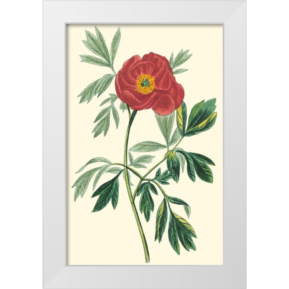 Turpin 17x24 White Modern Wood Framed Museum Art Print Titled - Crimson ...