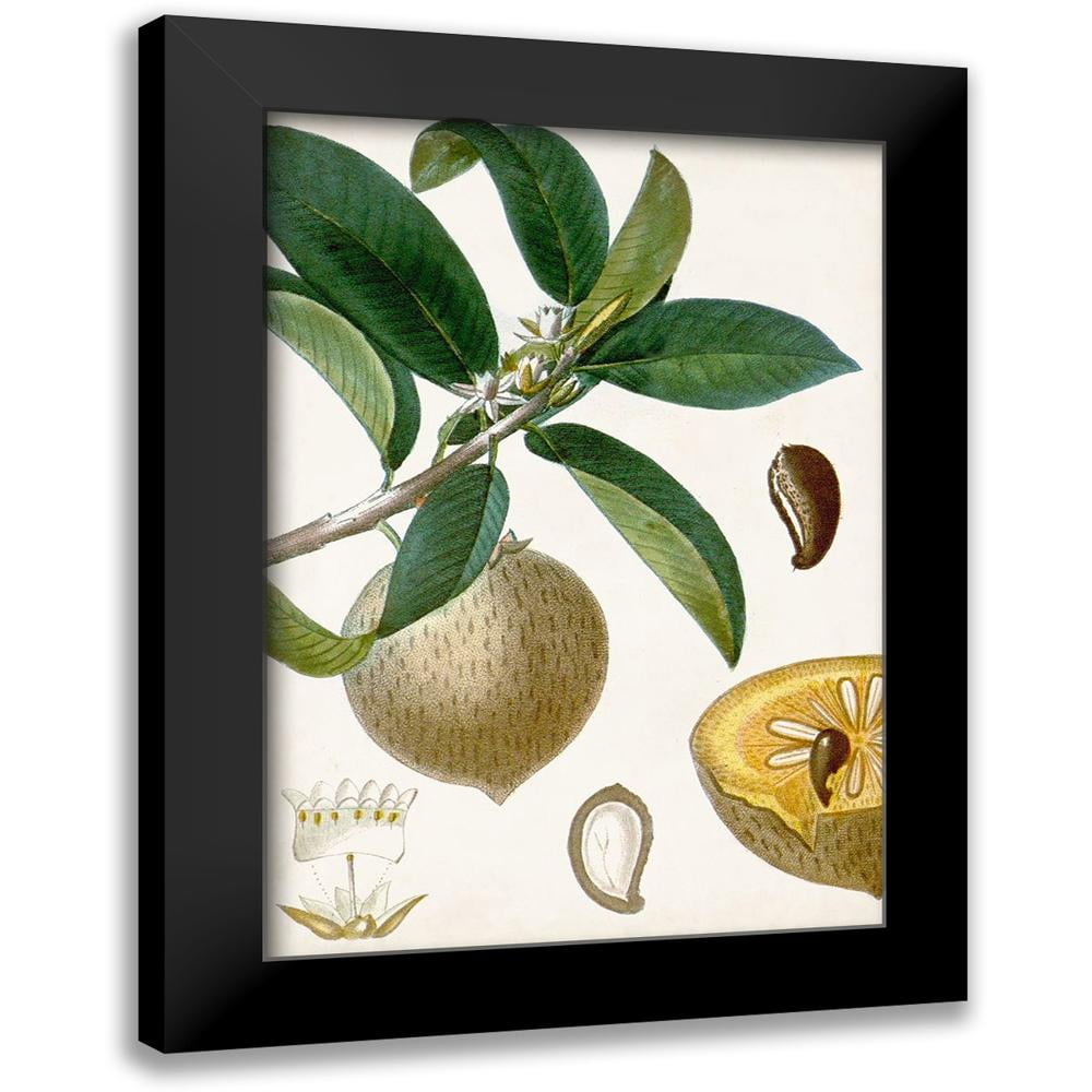 Turpin 18x24 Black Modern Framed Museum Art Print Titled - Turpin ...
