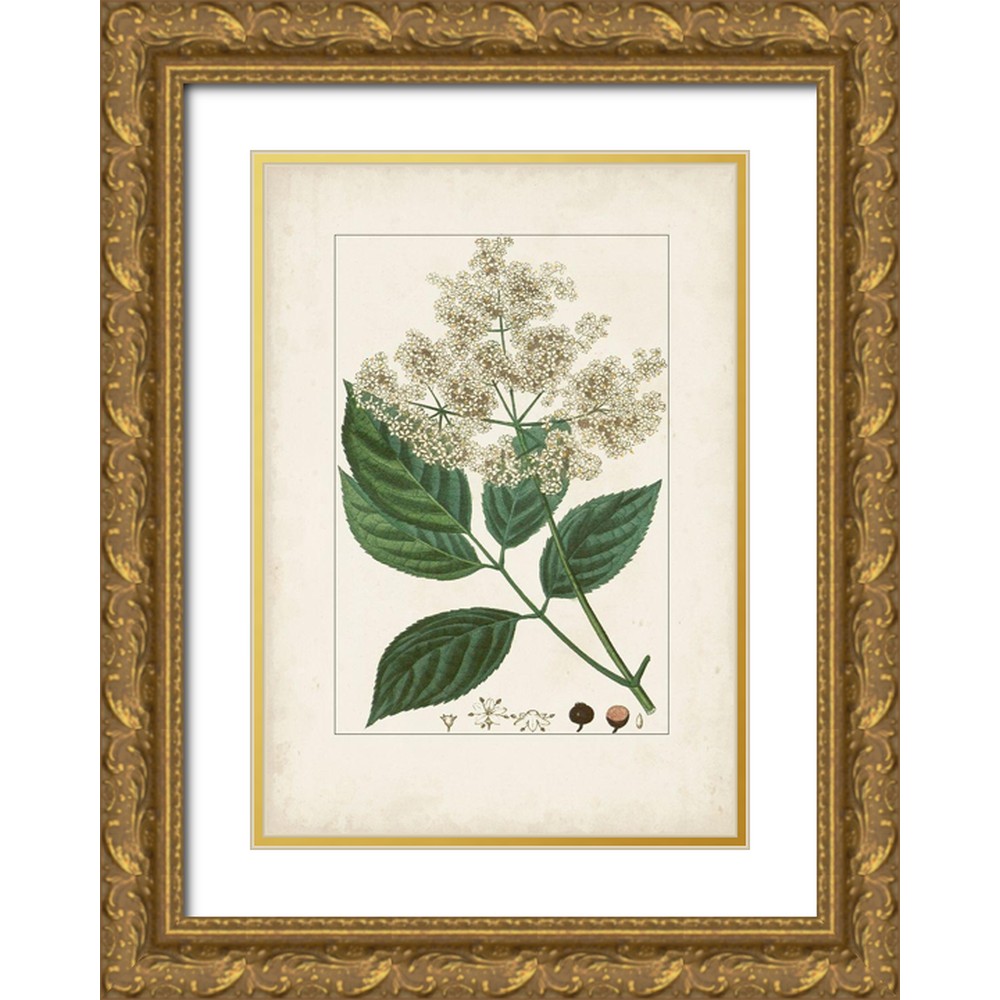 Turpin 18x24 Gold Ornate Wood Framed with Double Matting Museum Art ...