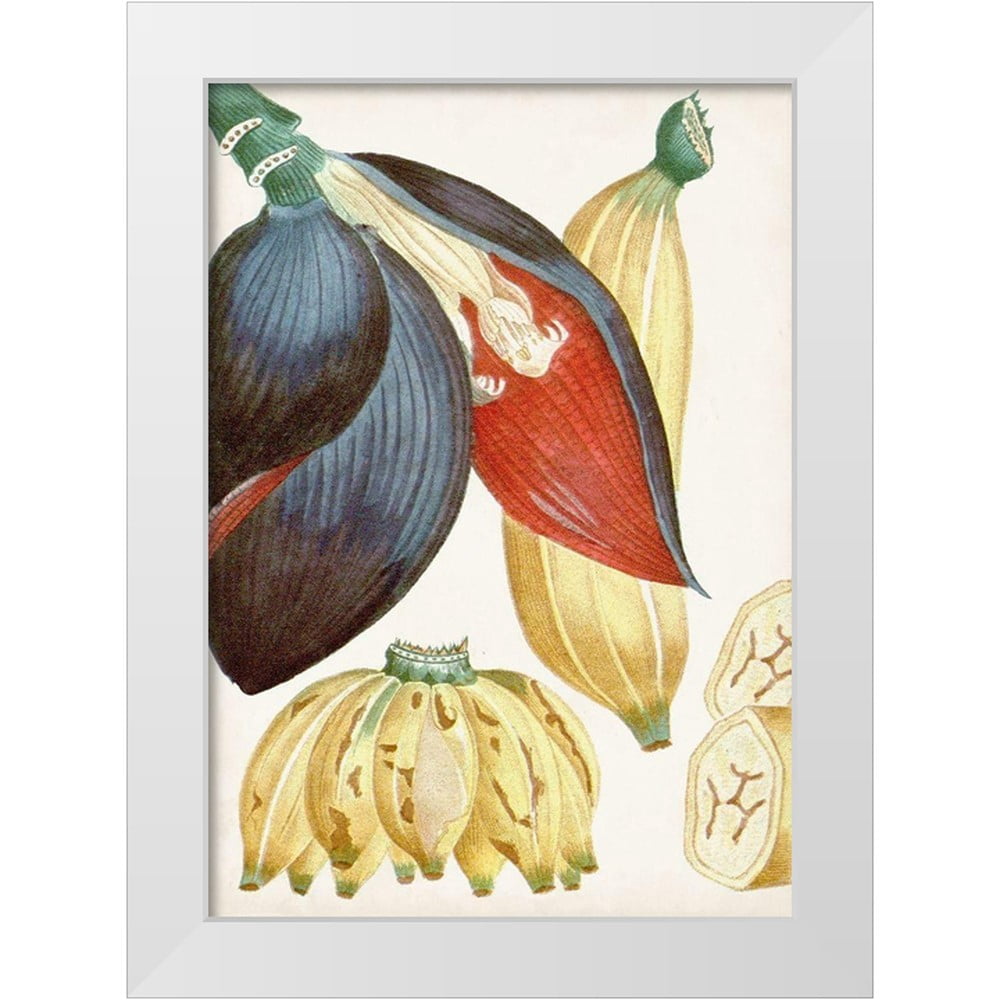 Turpin 18x24 White Modern Wood Framed Museum Art Print Titled - Turpin ...