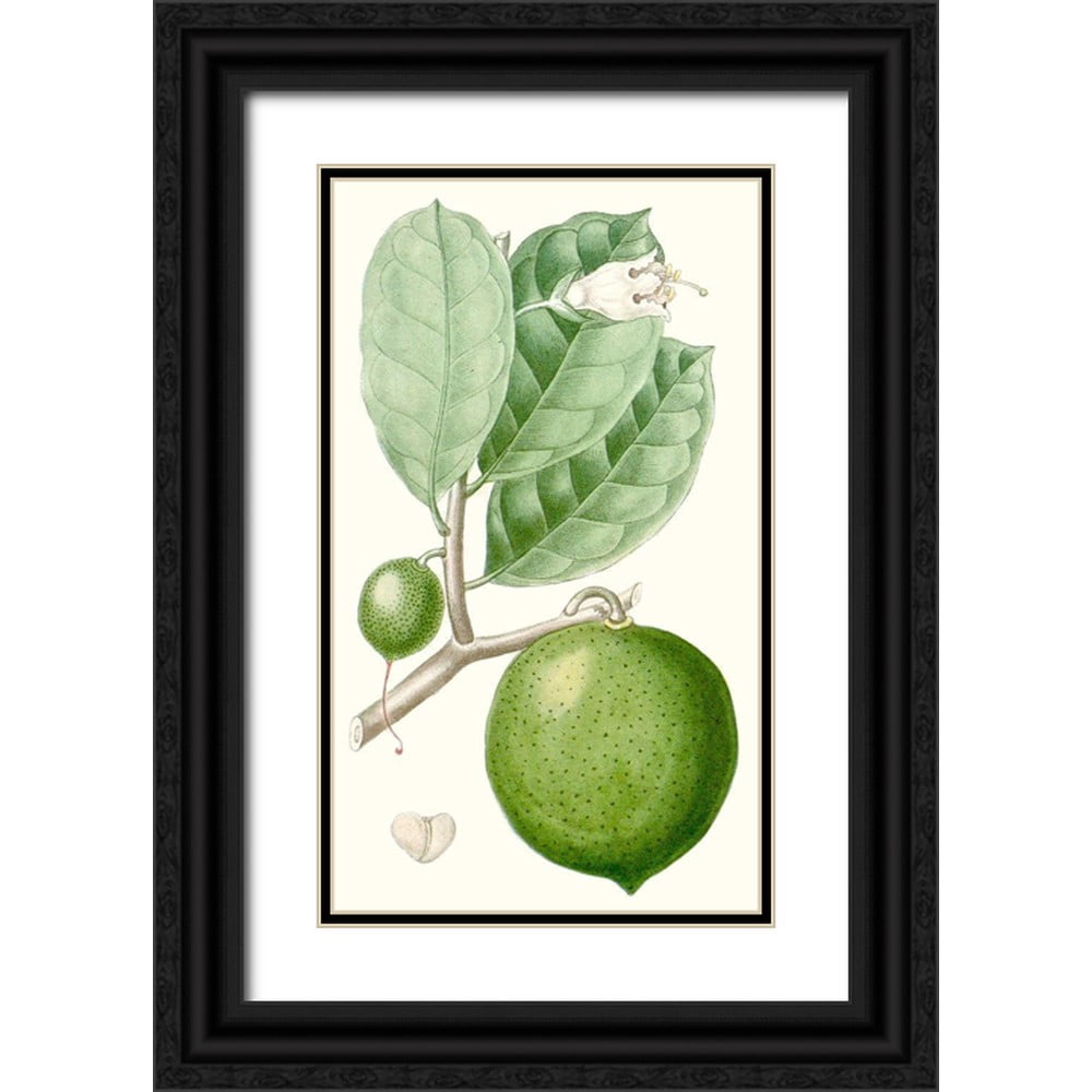 Turpin 20x32 Black Ornate Wood Framed with Double Matting Museum Art ...