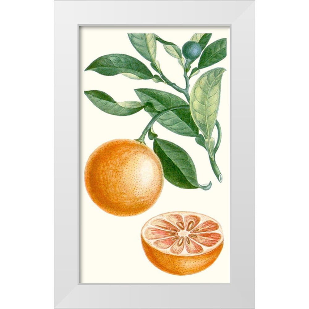Turpin 20x32 White Modern Wood Framed Museum Art Print Titled - Turpin ...