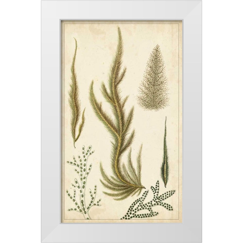Turpin 21x32 White Modern Wood Framed Museum Art Print Titled - Turpin ...