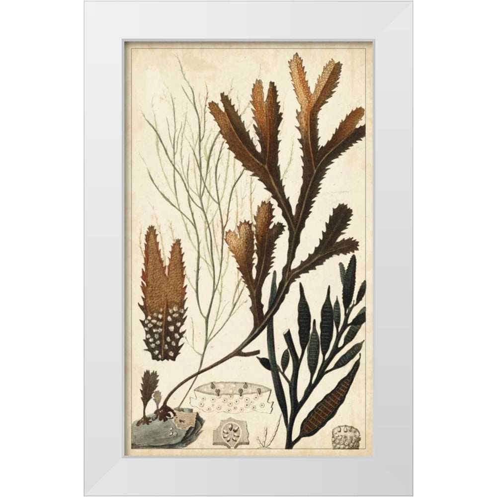 Turpin 21x32 White Modern Wood Framed Museum Art Print Titled - Turpin ...