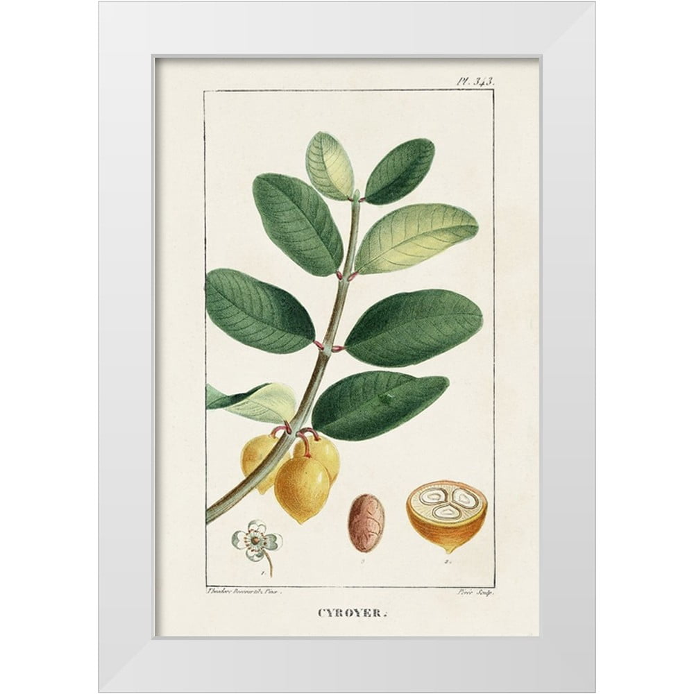 Turpin 23x32 White Modern Wood Framed Museum Art Print Titled - Turpin ...