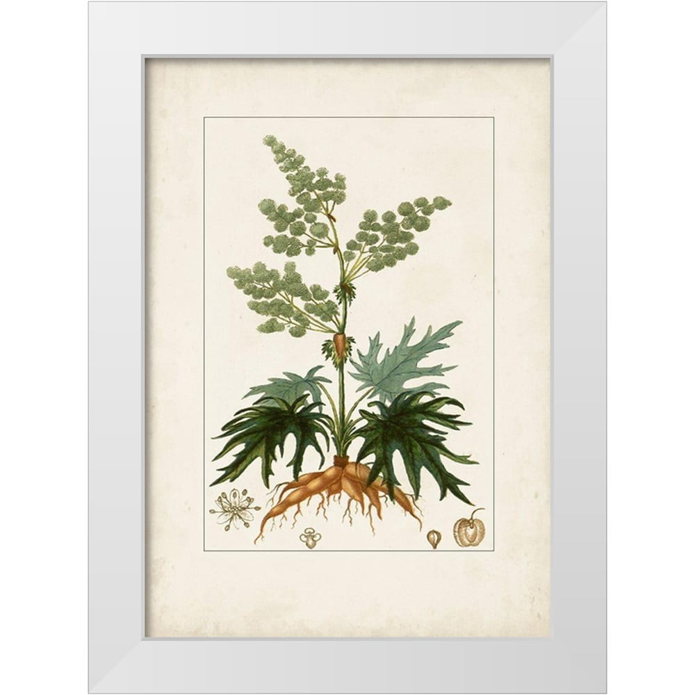 Turpin 24x32 White Modern Wood Framed Museum Art Print Titled - Antique ...