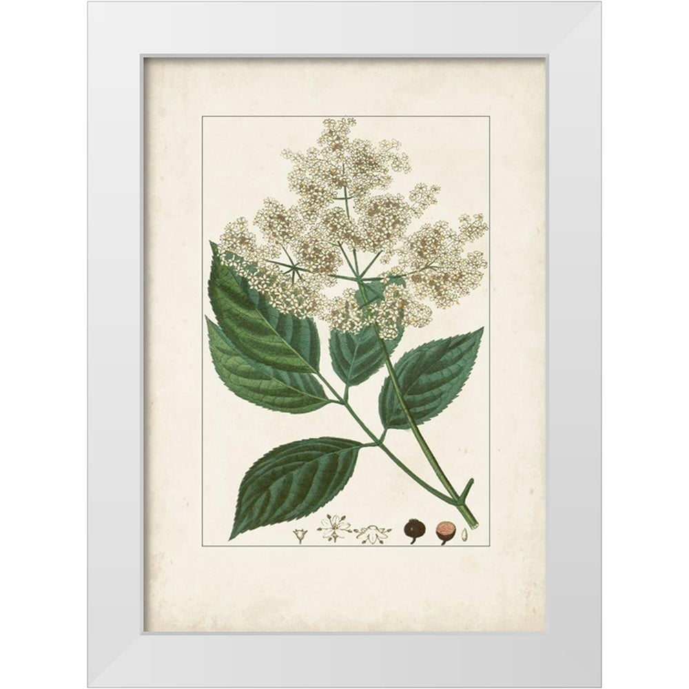 Turpin 24x32 White Modern Wood Framed Museum Art Print Titled - Antique ...