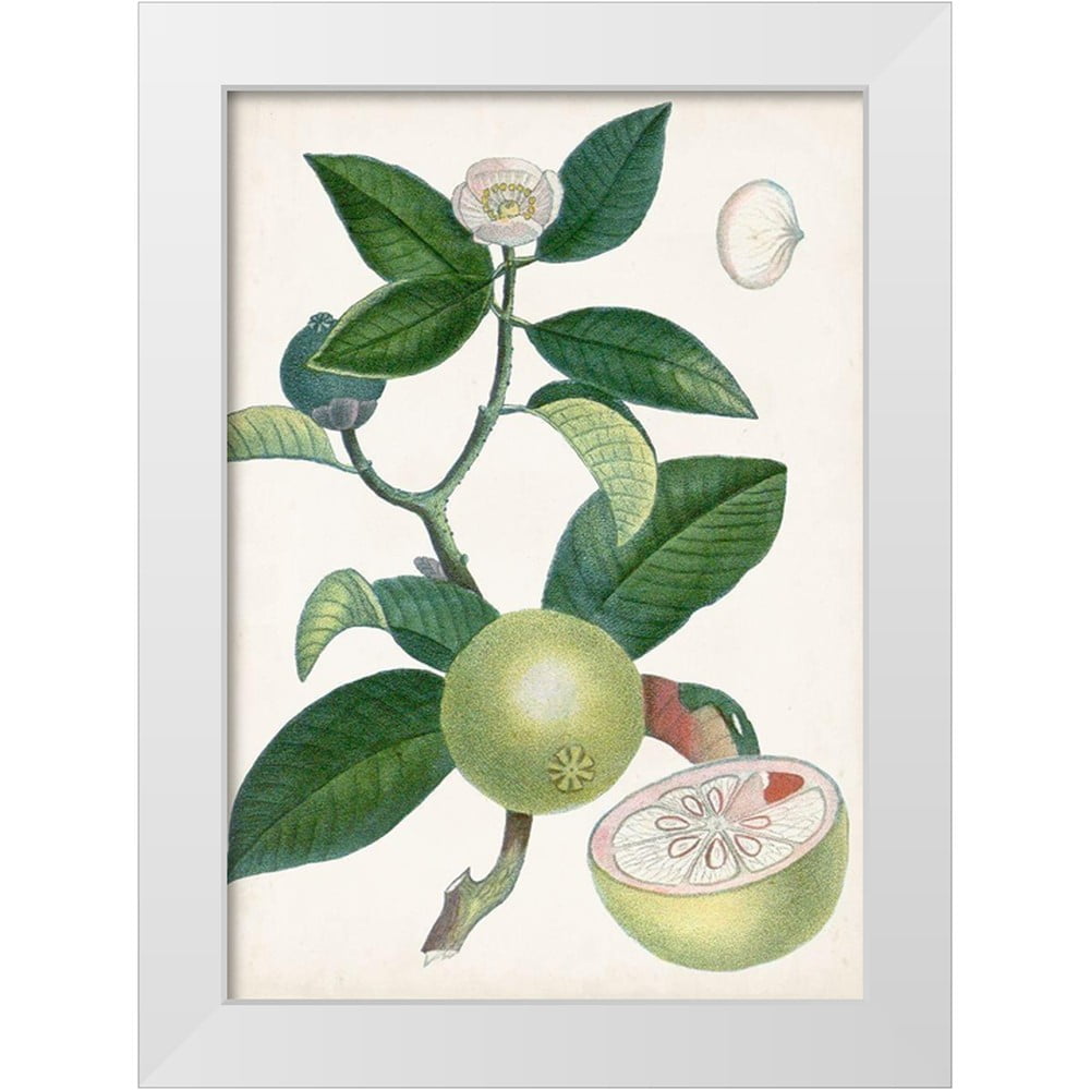Turpin 24x32 White Modern Wood Framed Museum Art Print Titled - Turpin ...