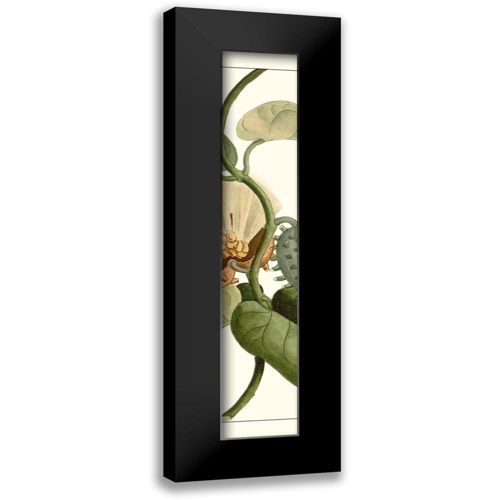 Turpin 6x14 Black Modern Framed Museum Art Print Titled - Turpin Exotic ...
