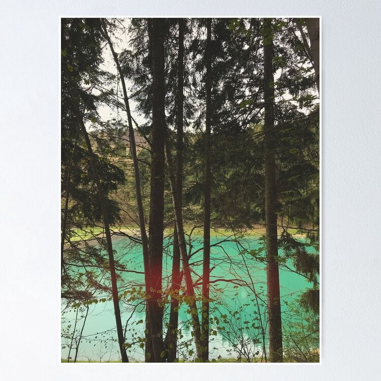 Turquoise Pond In A Forest Poster, 24x36 UNFRAMED - Walmart.com